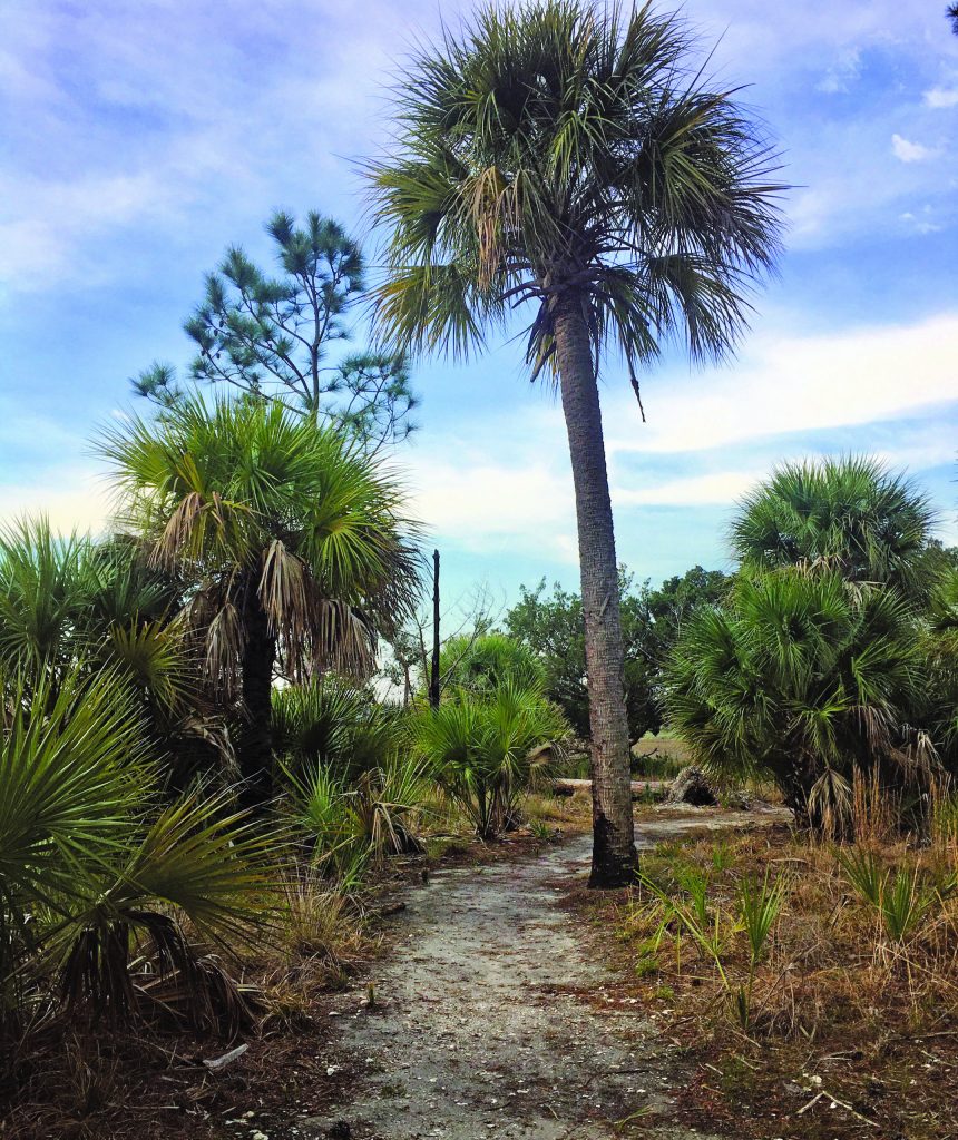 Secret spot off the beaten path: Widgeon Point | LOCAL Life SC | Hilton ...