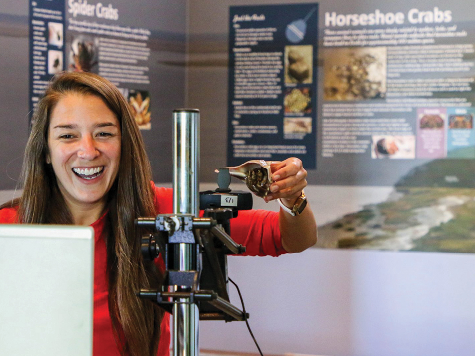 Destinations: Cool aquariums | LOCAL Life SC | Hilton Head Island ...