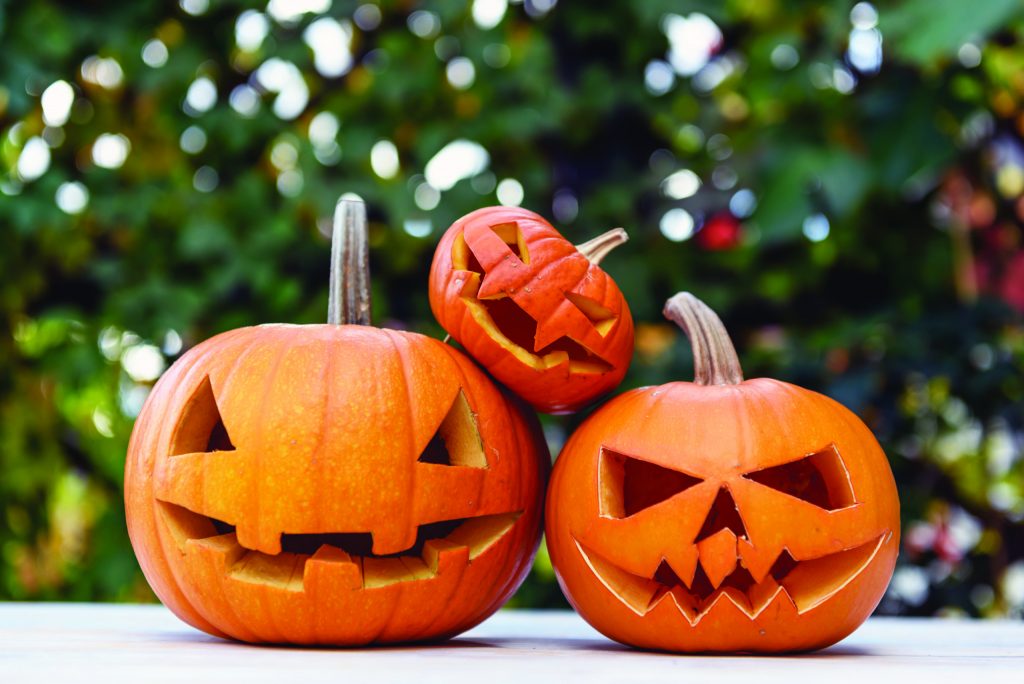 What’s Fresh in October? Pumpkins spice things up | LOCAL Life SC ...