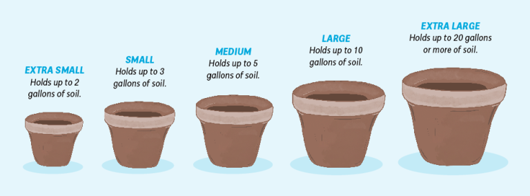 How-To: Arrange grocery store flowers like a pro, almost | LOCAL Life ...