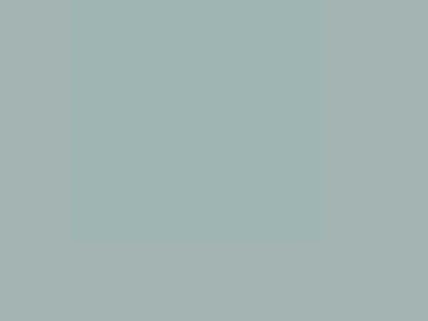 Hues that major paint companies are predicting will rule 2024 | LOCAL ...