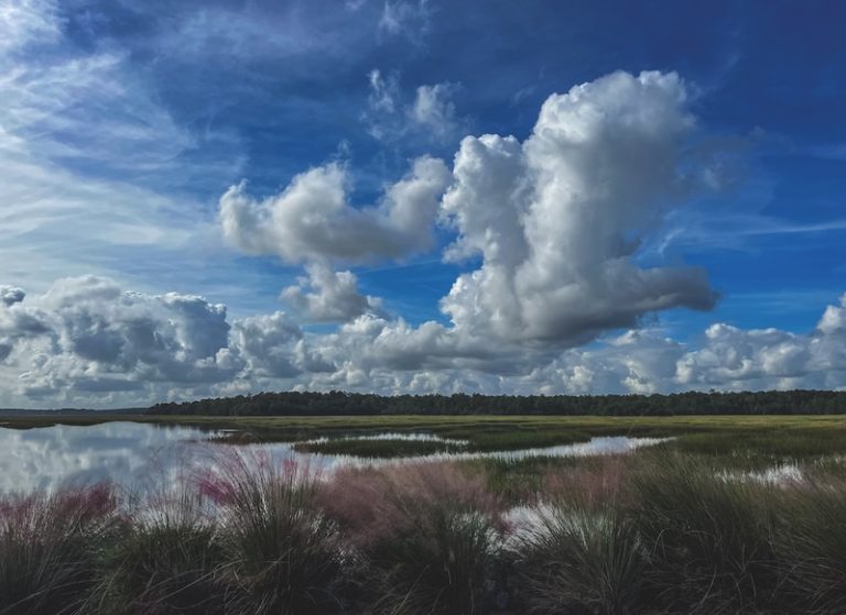 Discovering the Magic of the Lowcountry’s Salt Marshes | LOCAL Life SC ...