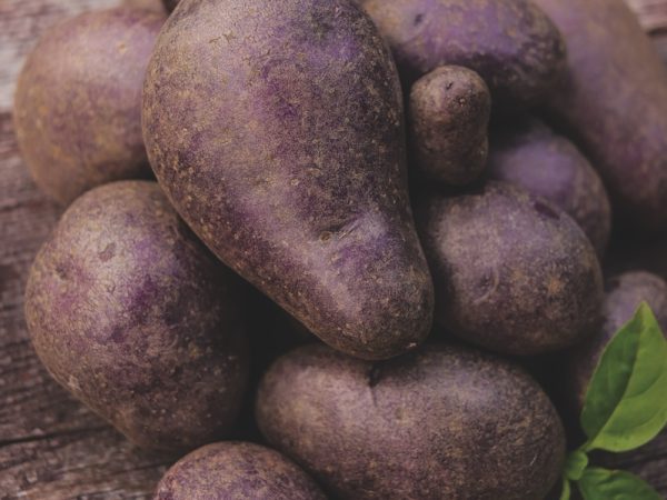 Blue Fingerling Potatoes: A Colorful and Healthy Twist on a Classic ...