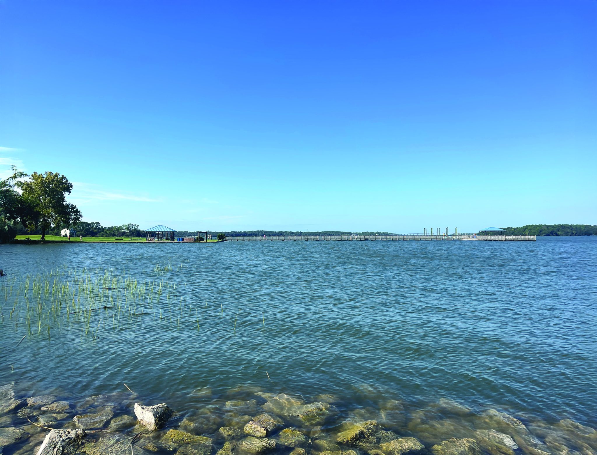 How the Moon Controls Tides: A Guide to Spring, Neap, and King Tides