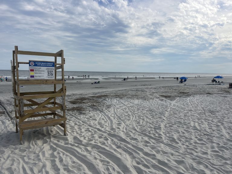 How the Moon Controls Tides: A Guide to Spring, Neap, and King Tides